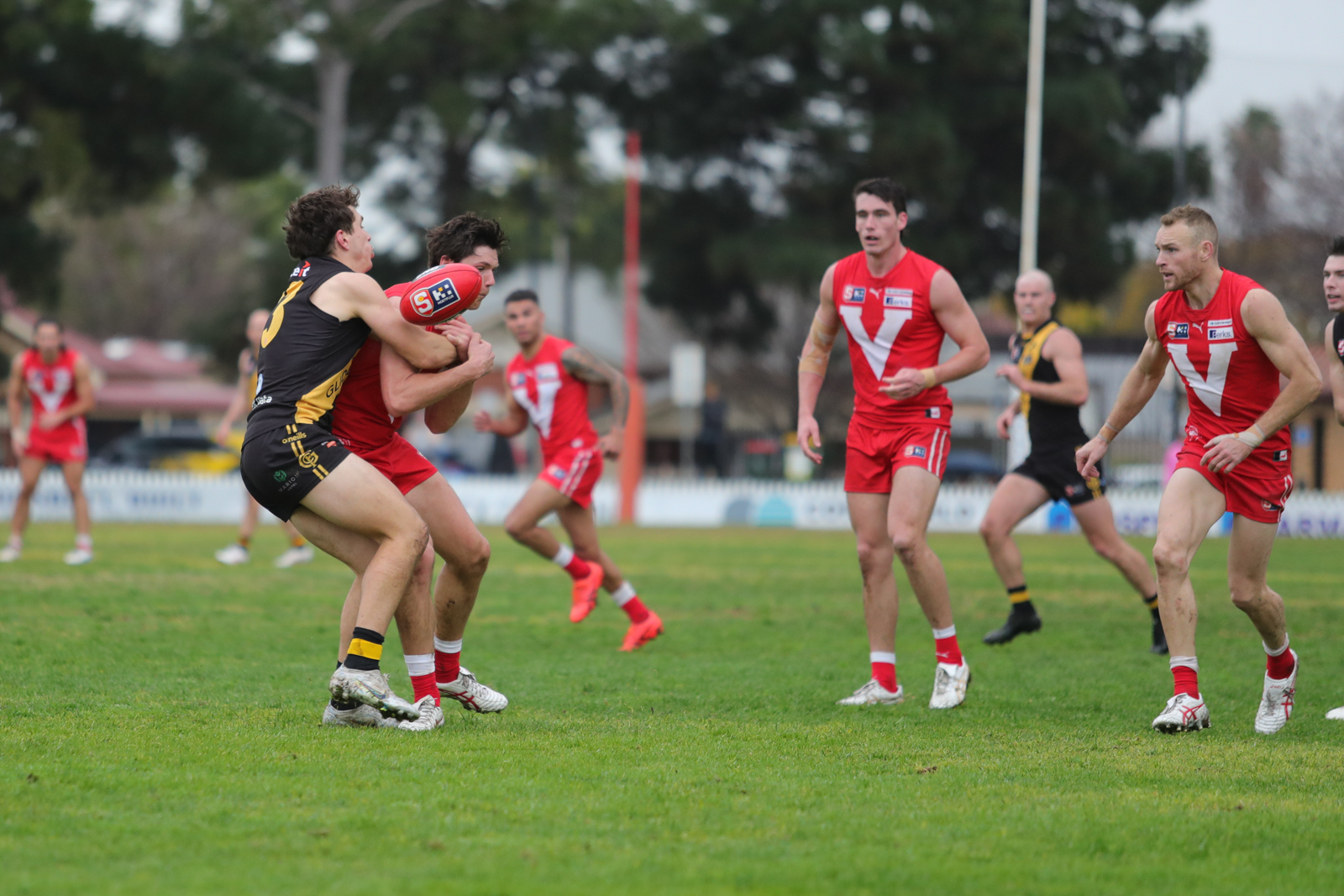 Round 15 - League vs Glenelg | NAFC