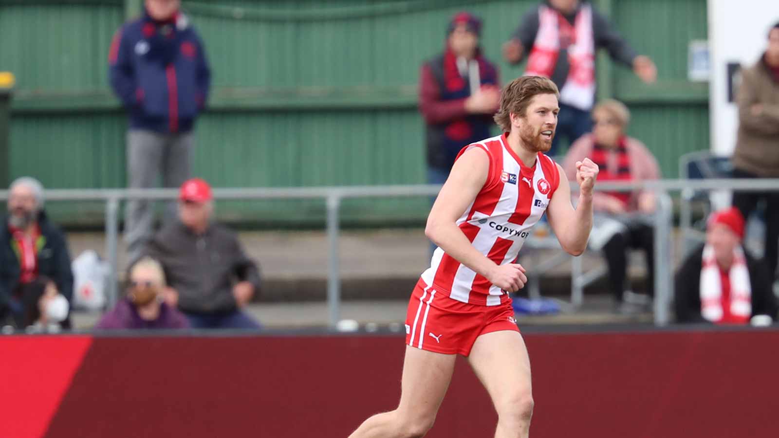 SANFL Now Player of the Year - Aaron Young | NAFC