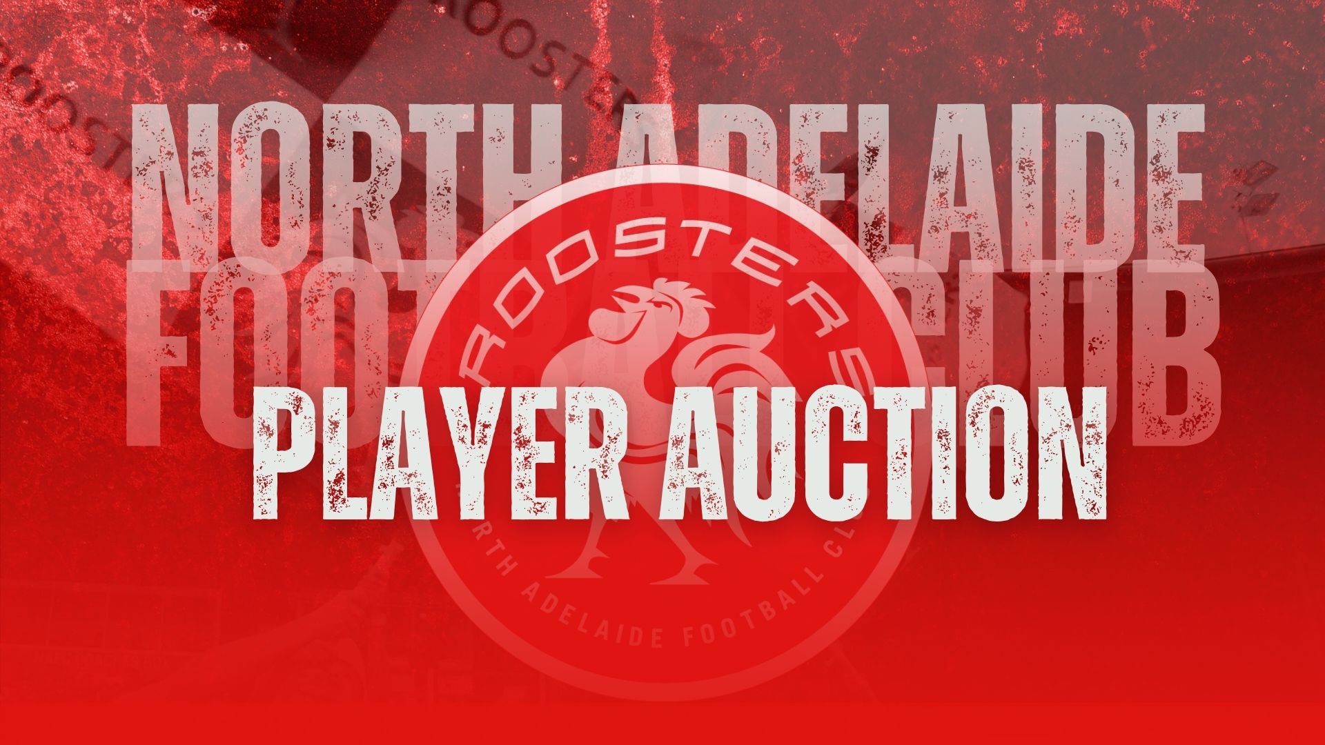 North Adelaide Player Auction | NAFC