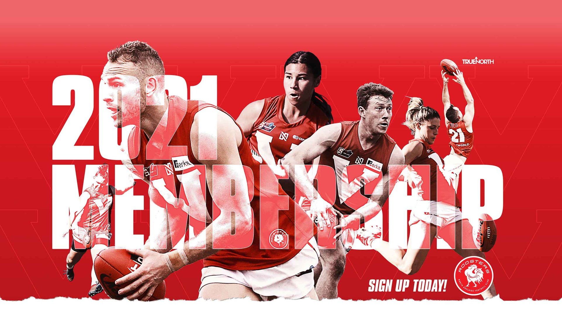 Become a Member | NAFC